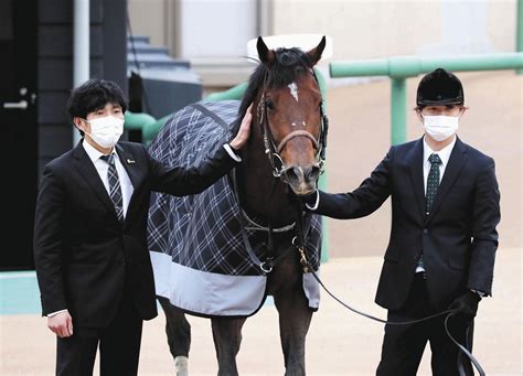辻野泰之調教師 Jra初勝利「ここまで出合った全ての馬たち、人たちに感謝したい」1日に厩舎開業：中日スポーツ・東京中日スポーツ