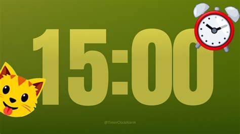 15 Minute Timer With Alarm