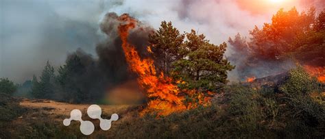 Fighting Wildfires And Combating Climate Change With LoRaWAN