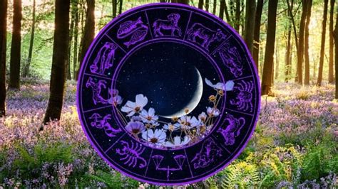 Your Horoscope For The Week Ahead Our Relationship To Power And