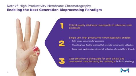 High Productivity Membrane Chromatography Enabling The Next Generation Bioprocessing Paradigm Ppt