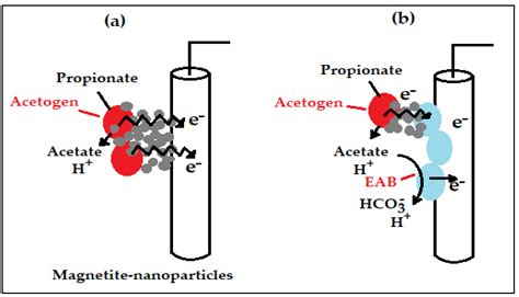 Ijms Free Full Text Application Of Bioelectrochemical Systems And