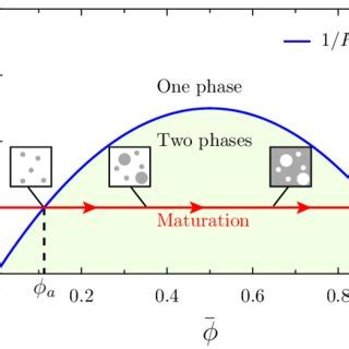 Color Online Phase Diagram Of A Binary Mixture Undergoing Chemical