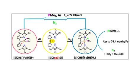 N2 Silylation Catalyzed By A Bis Silylene Based [sicsi] Pincer Hydrido Iron Ii Dinitrogen