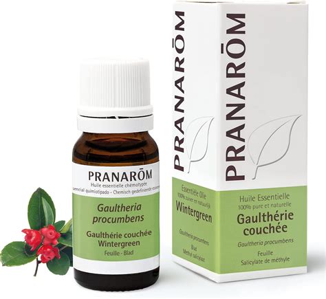 Buy Pranarôm Essential Oil Wintergreen Gaultheria procumbens 10 ml