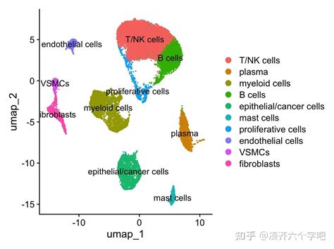 单细胞实战之亚细胞分群从t Nk至cd4 T细胞——从入门到进阶 中级篇1） 知乎