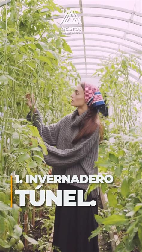 Conoce 4 Tipos De Invernaderos 🤩 ¡anímate A Construir Este Proyecto