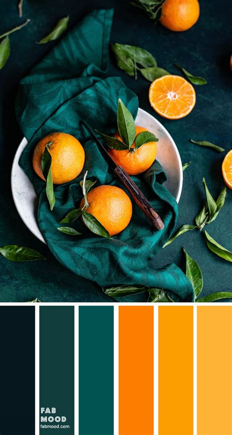 Orange Infographic Color Palette Vrogue Co Vrogue Co