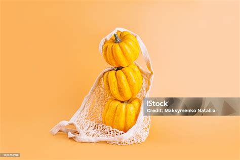오렌지색 배경에 직물의 메쉬 가방에 호박의 다른 종류 가을 개념 공간을 복사합니다 호박의 구성 행복한 추수 감사절야채 가을 음식 개념 가을 할로윈 호박 0명에 대한 스톡