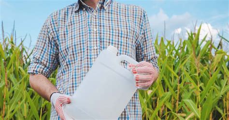 What Is A Characteristic Technique To Execute Weed For All Time