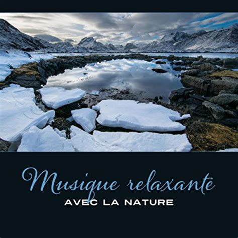 Amazon Co Jp Musique Relaxante Avec La Nature Purification Et
