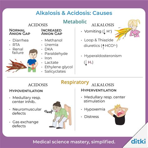 Physiology Alkalosis And Acidosis Acidosis And Alkalosis Acidosis