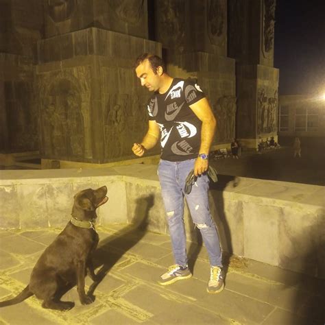 ძაღლის გაწვრთნა