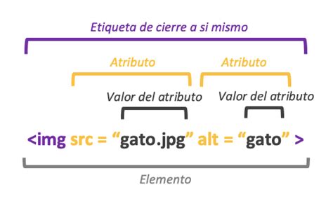 Etiqueta Img