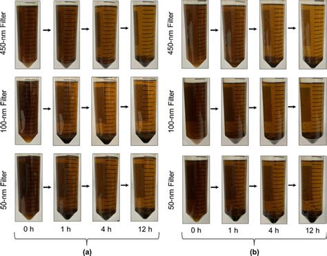 Sualization Of Asphaltene Precipitation And Deposition Using A