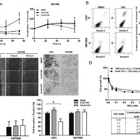 Monocarboxylate transporters (MCT1 and MCT4) and CD147 expressions in... | Download Scientific ...