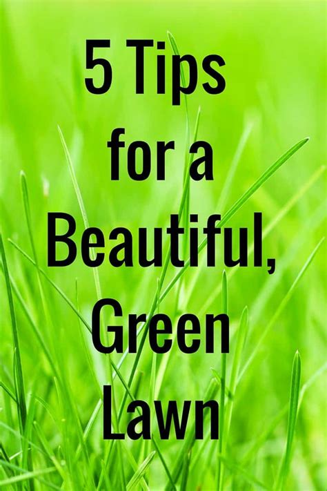 5 Tips For A Beautiful Green Lawn An Alli Event