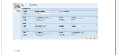 Sap Fi深入浅出财务管理 V10版本 共829页 2017年编著 Sap财务类集业务配置操作实例方案一体的真正完整手册 提供原始
