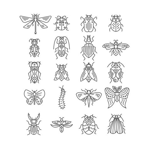 Insects Pest Extermination Thin Line Art Icons Set Linear Style Stock