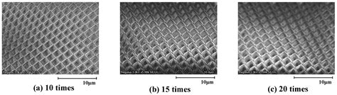 Surface Microfabrication Of Lactic Acid Glycolic Acid Copolymers Using A Gas Permeable Porous Mold