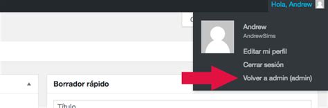 Cómo Loguear Como Otro Usuario En Wordpress