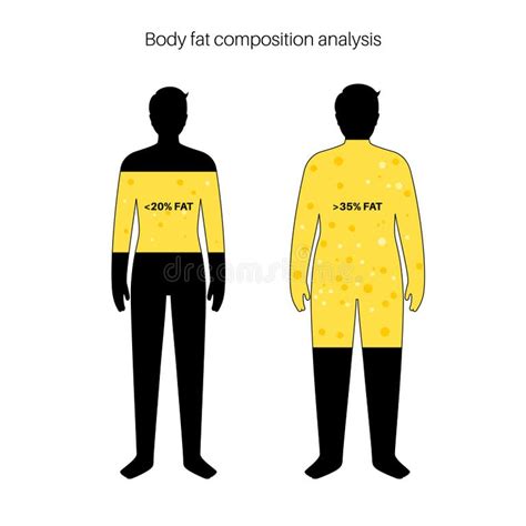 Body Fat Composition Stock Illustrations 384 Body Fat Composition
