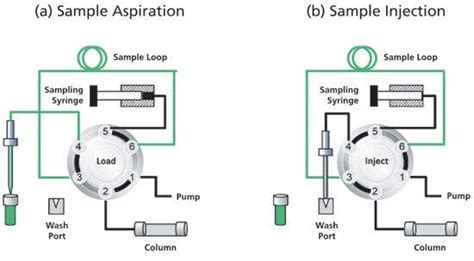Hplc Autosamplers Perspectives Principles And Practices