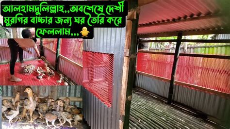 আলহামদুলিল্লাহ অবশেষে দেশী মুরগির বাচ্চার জন্য ঘর তৈরি করে ফেললাম 🐥 Youtube