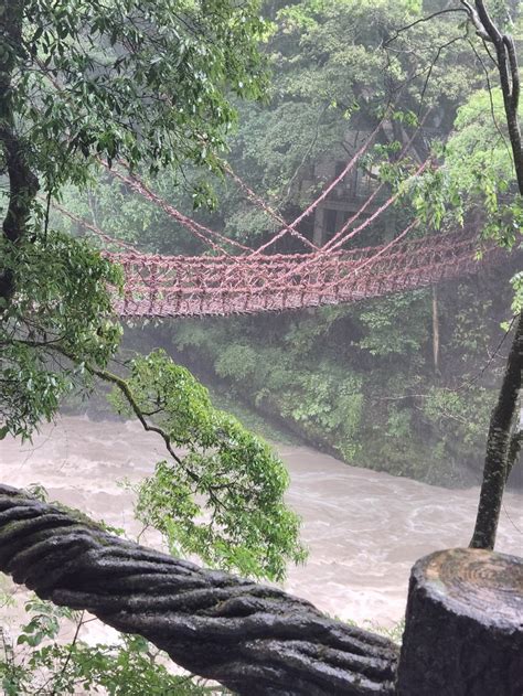 5月28日火「祖谷のかずら橋・奥祖谷二重かずら橋」休業のお知らせ 大歩危祖谷ナビ＜三好市公式観光サイト＞