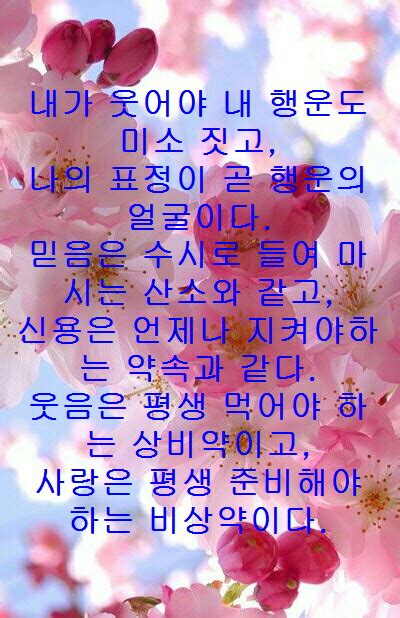 마음을 편안하게 하는 글 네이버 블로그
