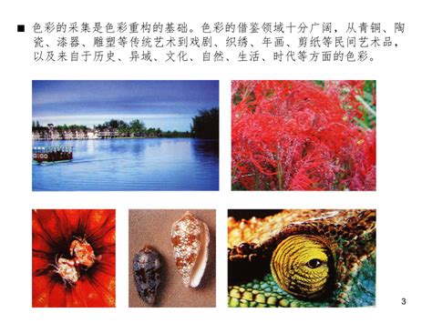 色彩的重构PPT演示课件