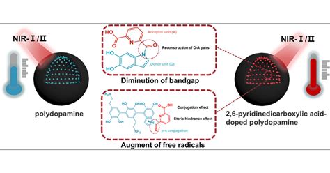 26 Pyridinedicarboxylic Acid Covalently Bound Polydopamine For Enhanced Tumor Photothermal