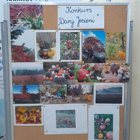 Wyniki konkursu fotograficznego dla klas 0 BARWY JESIENI Szkoła
