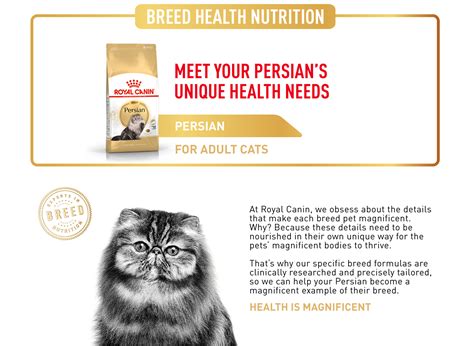 Royal Canin Persian Adult 10kg Dry Cat Food Free 2 Rc Persian Adult