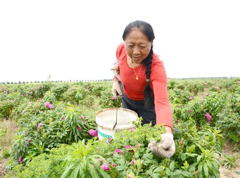图片新闻 涟水日报