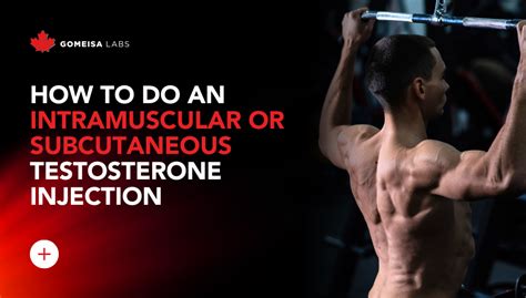 How To Do An Intramuscular Or Subcutaneous Testosterone Injection