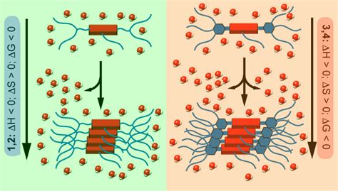 Grupo De Investigación Supramolecular Polymers
