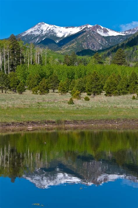 Lockett Meadow Picture Image 87313418