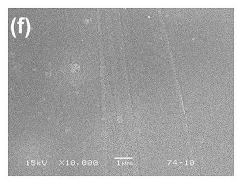 sem micrographs of surfaces of drug loaded blend films with sf alginate