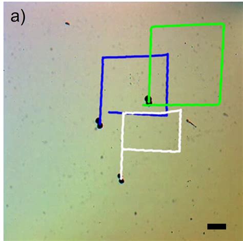complex locomotion in the non newtonian fluidic environment under