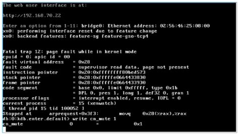 Freenas Vm Plugins With Vnet Not Installing Or Running Possible Xen