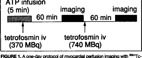 Figure 1 From Myocardial Tomography With Technetium 99m Tetrofosmin During Intravenous Infusion