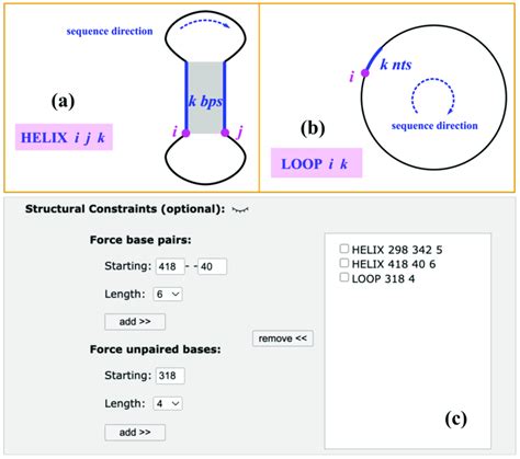 Structural Constraints Of Forcing Base Pairs Helix I J K In A And
