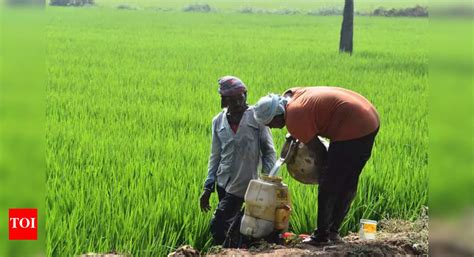 Kharif ’25: NTR district targets 1 lakh hectares | Vijayawada News - Times of India