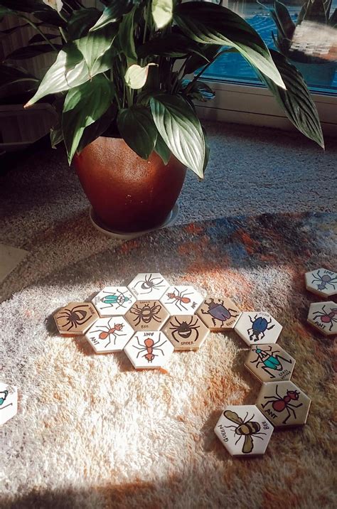 Diy Board Game Hive For 3 Rfrugal