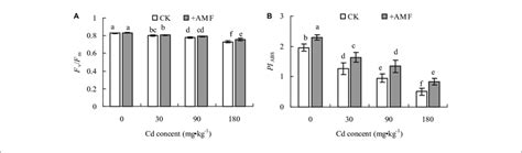 The Effects Of Inoculation With G Mosseae On The F V F M A And Pi Download Scientific