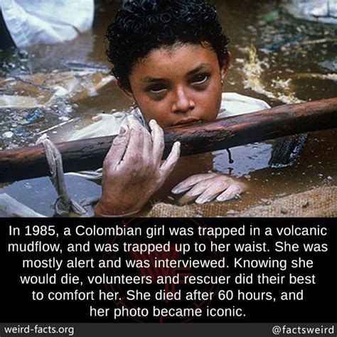 Weird Facts History Facts Interesting Weird Facts Unbelievable Facts