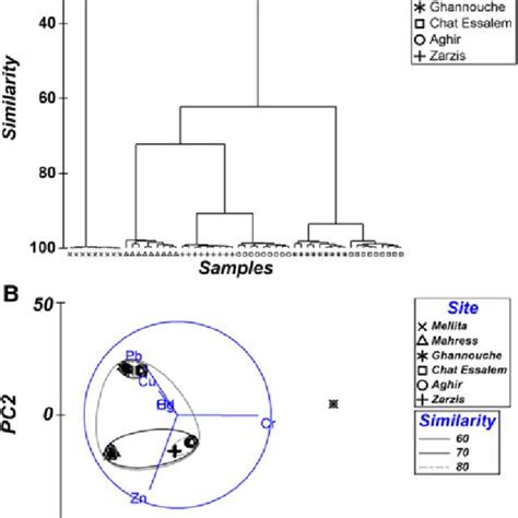 D1 Euclidean Distance Cluster Classification A And Principal Download Scientific Diagram