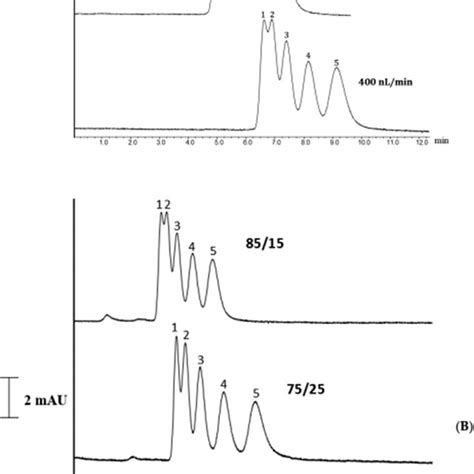 Separation Chromatograms Of Alkylbenzenes On The Monolith With 50 μm Download Scientific