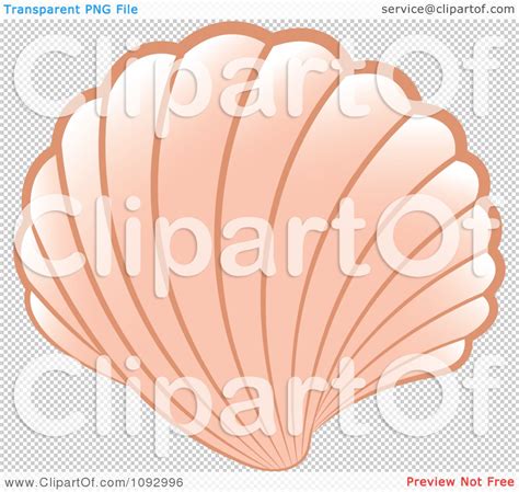 Clipart Pink Scallop Sea Shell Royalty Free Vector Illustration By